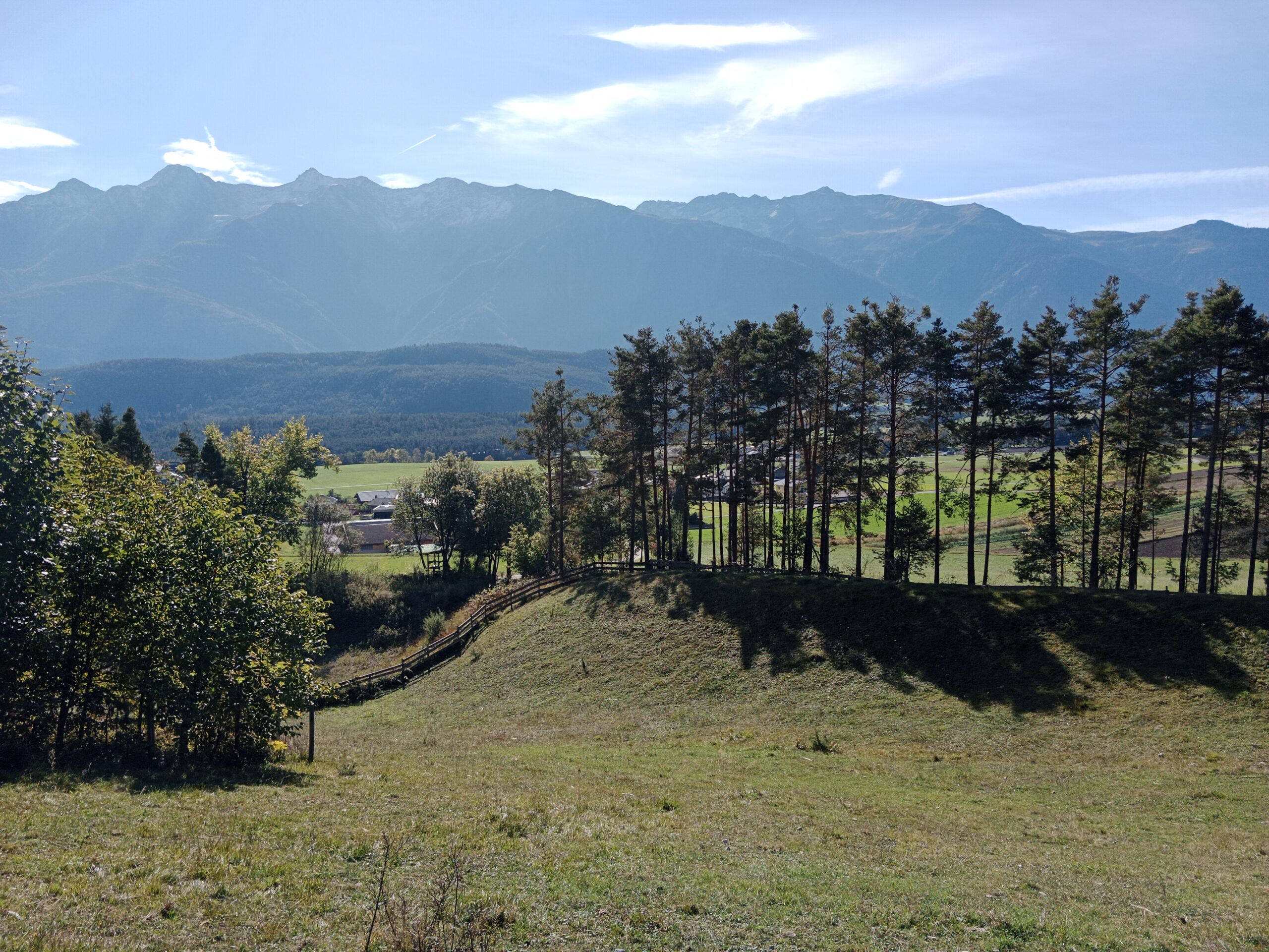 Rooted in Resilience: Tyrolean Protective Forests and Climate Solutions ...