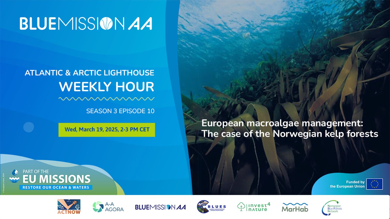 EUROPEAN MACROALGAE MANAGEMENT: THE CASE OF THE NORWEGIAN KELP FORESTS ...